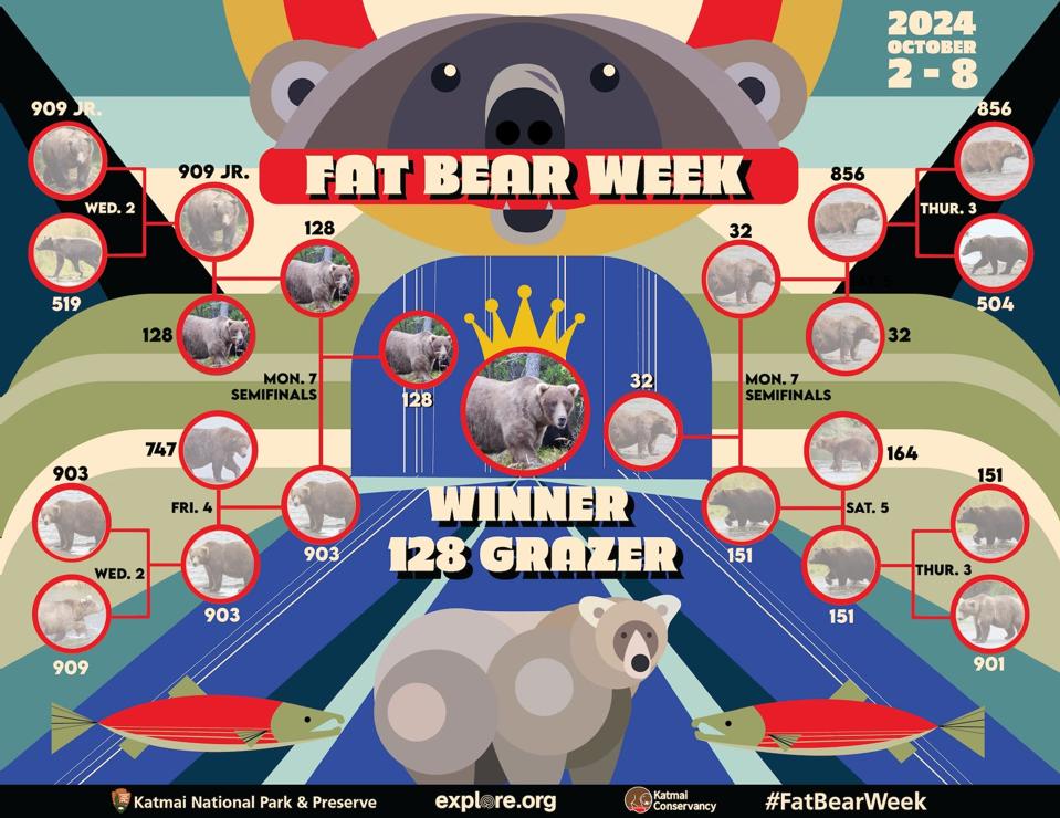 Get Ready for Fat Bear Week 2025: A Celebration of Wildlife ...